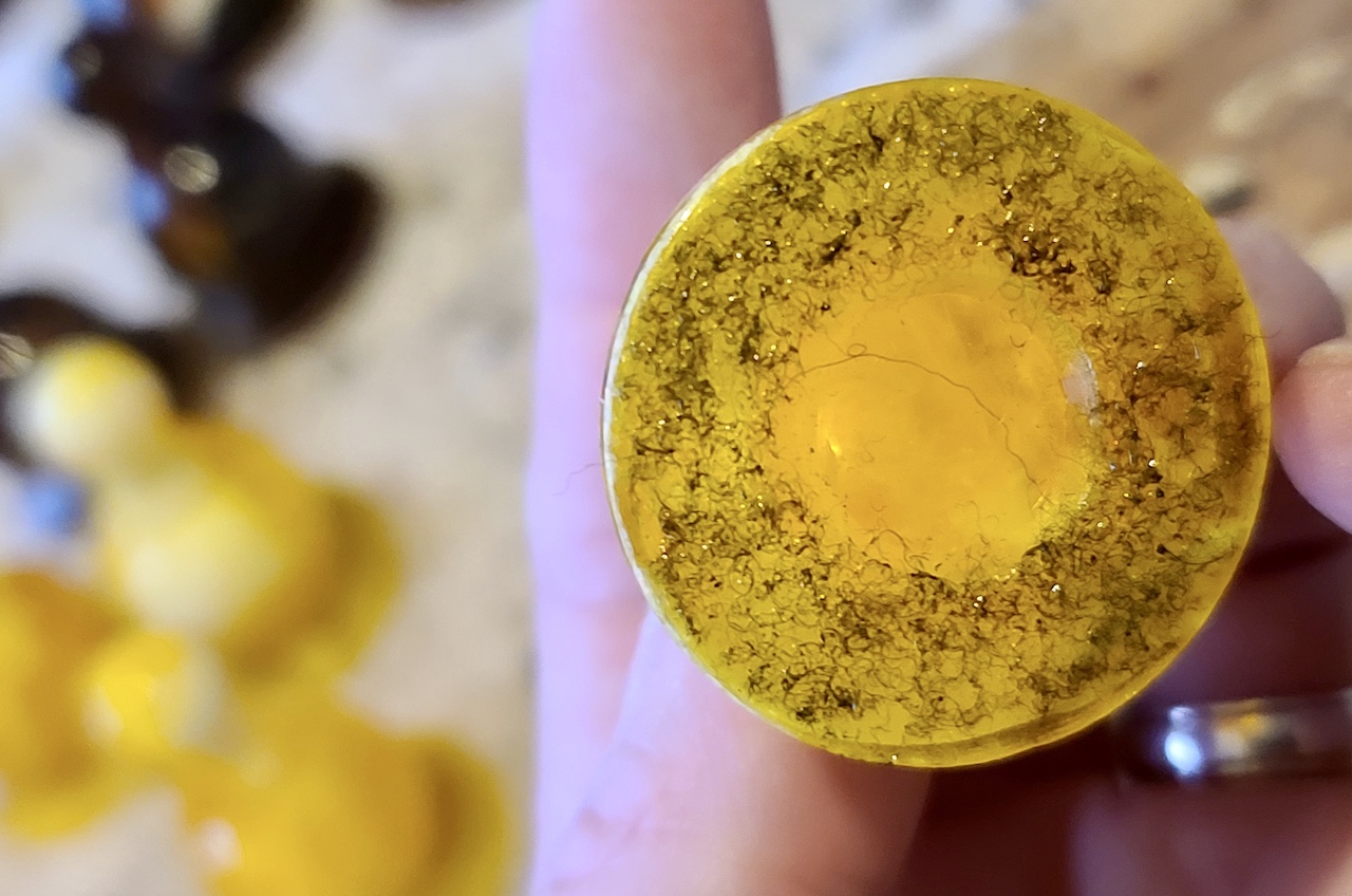 AMBROID ALERT! - Amber, otherwise known as ‘Russian Gold’ (Latin ...