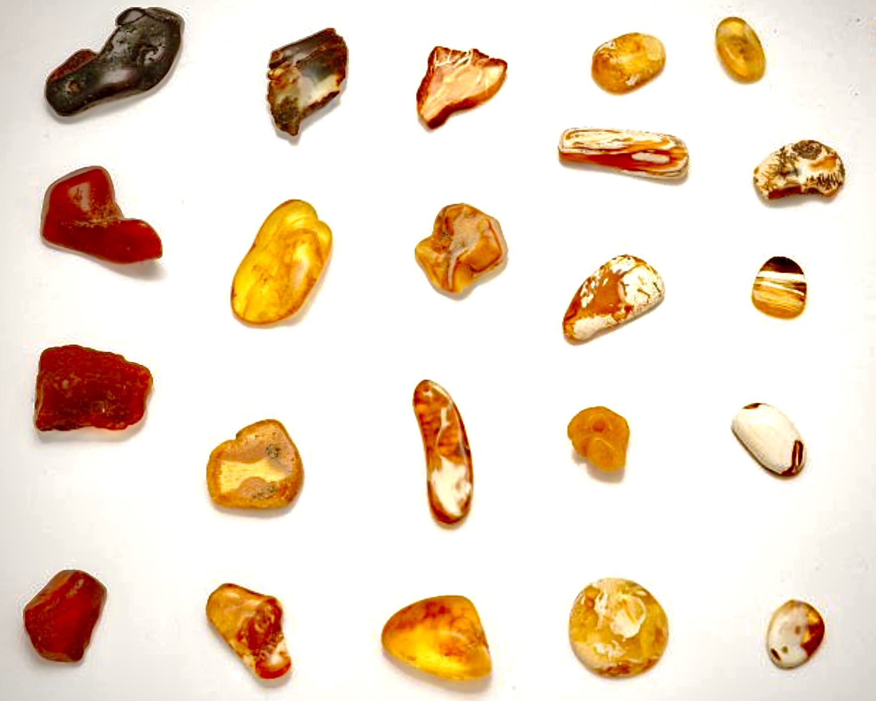 AMBROID ALERT! - Amber, otherwise known as ‘Russian Gold’ (Latin ...